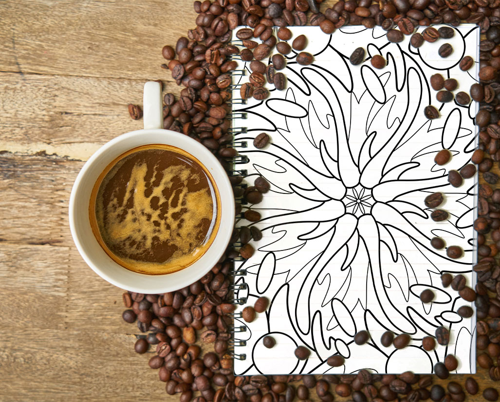 Portfolio - Clever One Studios